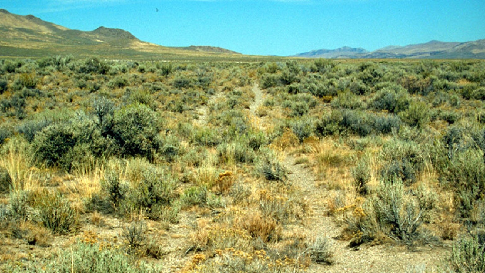 Elko Hot Hole | California Trail Heritage Alliance